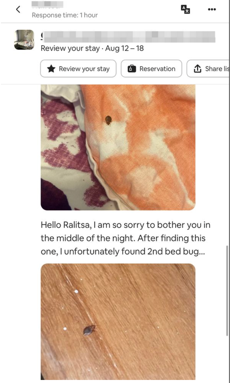 Bed Bug incident evidence: August 2023 in London - Airbnb Community