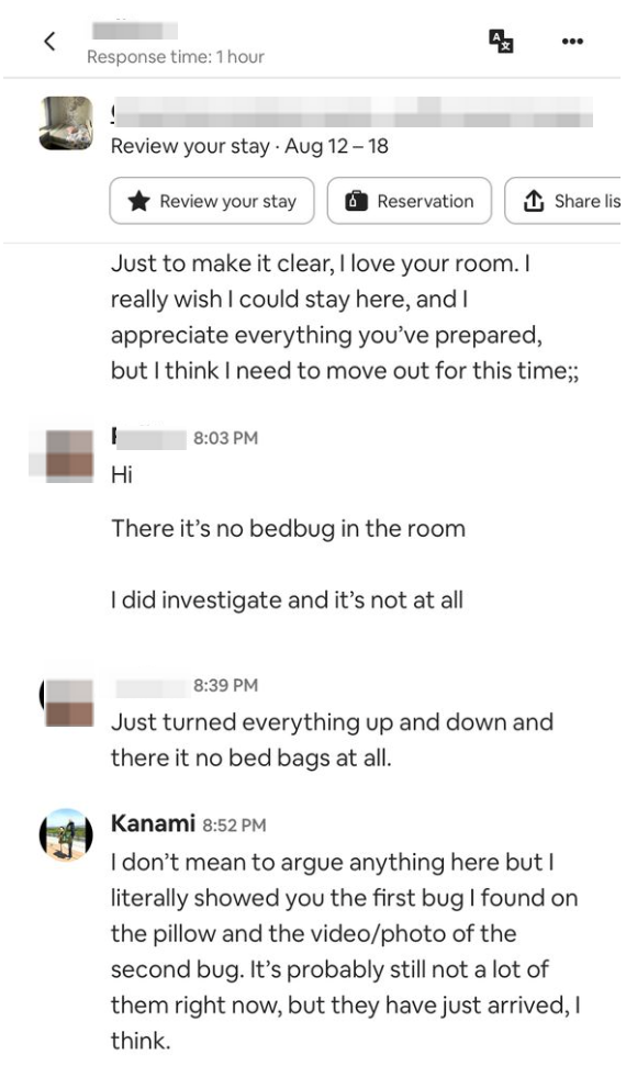 Bed Bug incident evidence: August 2023 in London - Airbnb Community