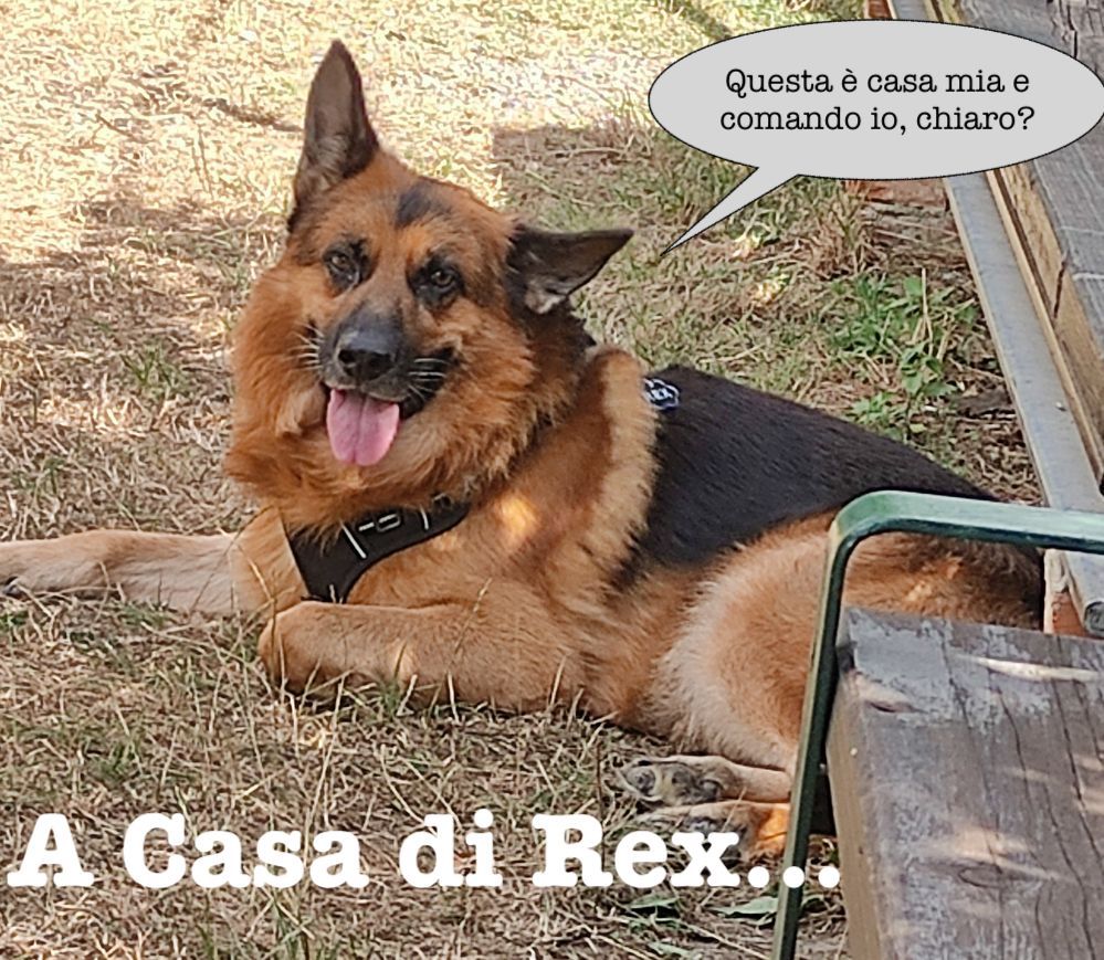 [Rubrica] A CASA DI REX: Quando arrivano Trudy e T... - Airbnb Community